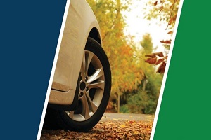 Training for Your Employees